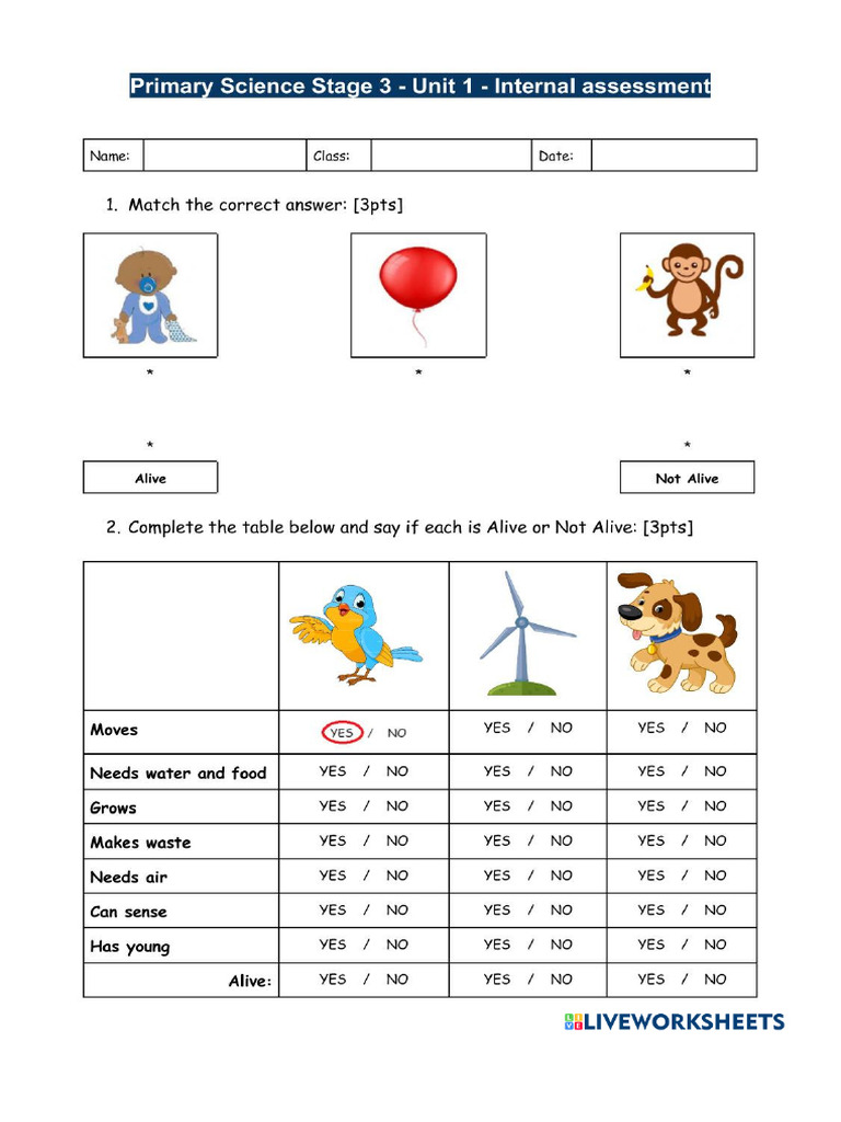 Stage 3 Sample Test | PDF