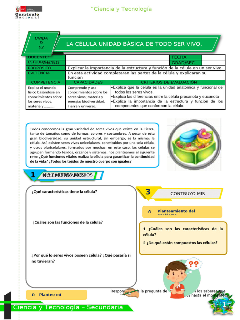 B-2º Act 3 Cyt Unid 2 | PDF