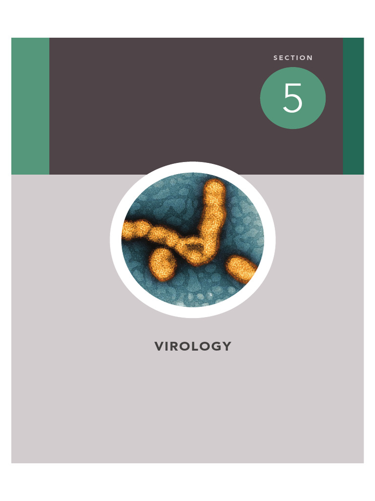 VRUSS | PDF