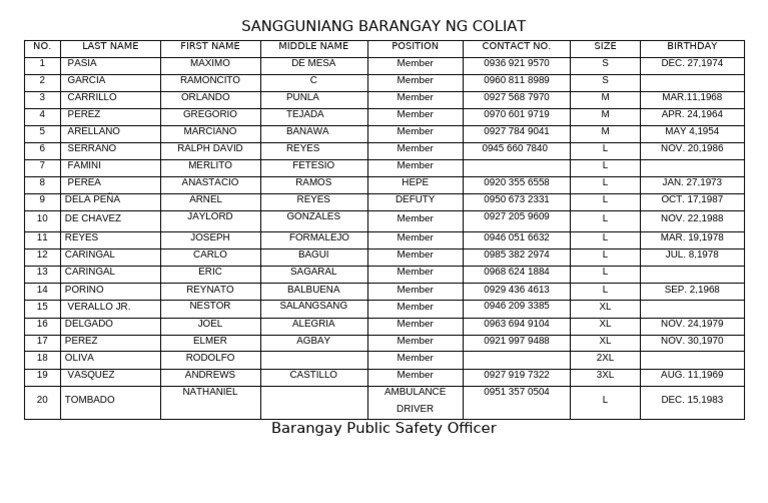 Barangay Police Safety Officer | PDF