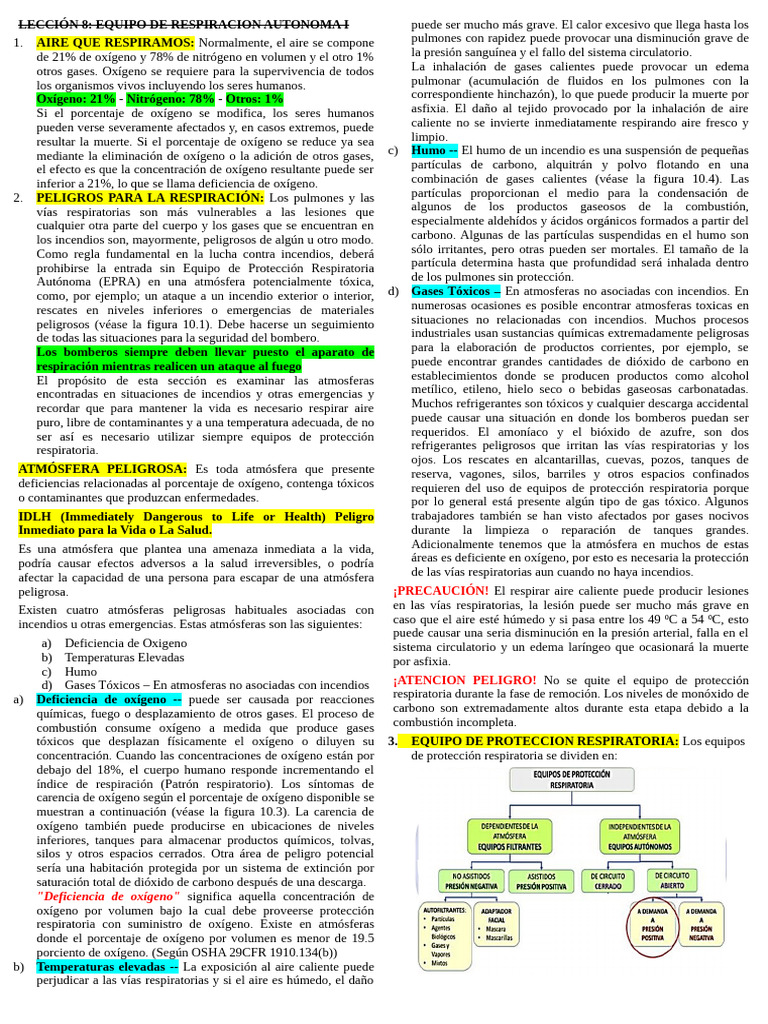 Lección 10 | PDF