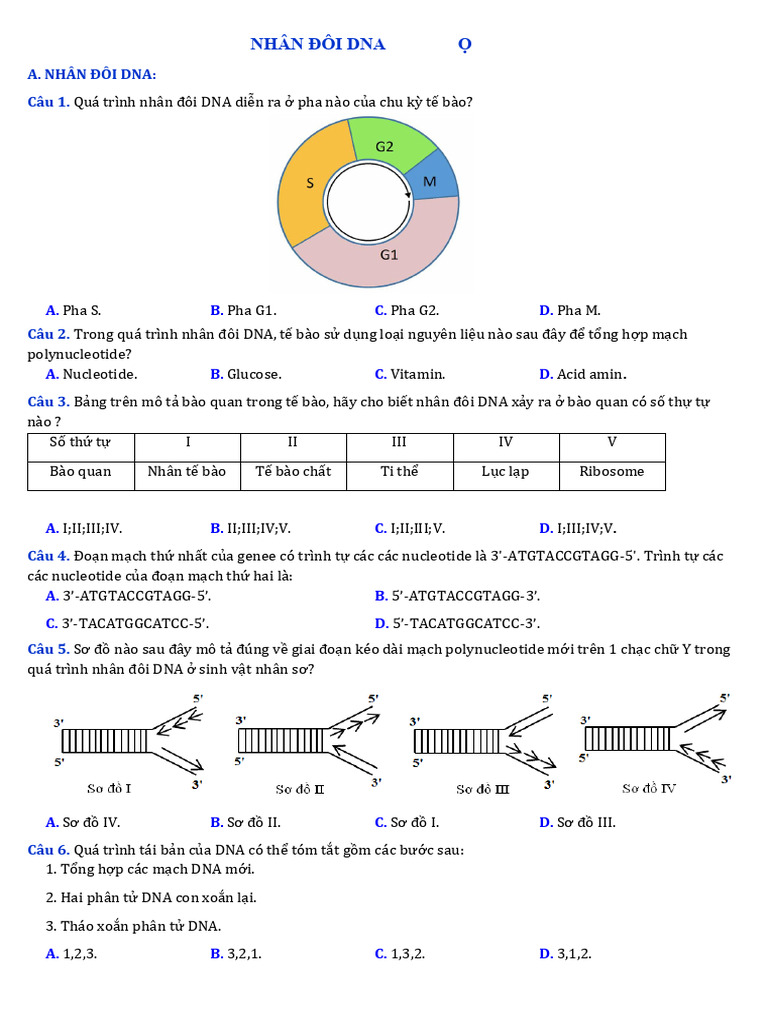 Phần i Đề Trắc Nghiệm Nhân Đôi Dna Và Ứng Dụng Nhân Đôi Dna | PDF