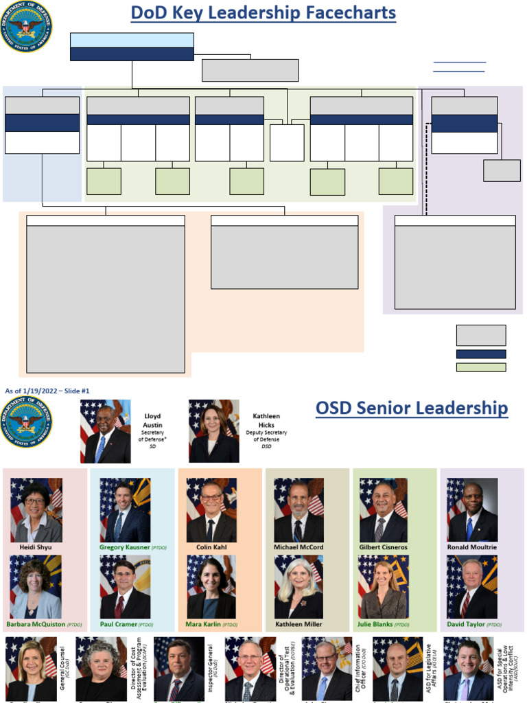 DoD Face Chart 2022011939 | PDF
