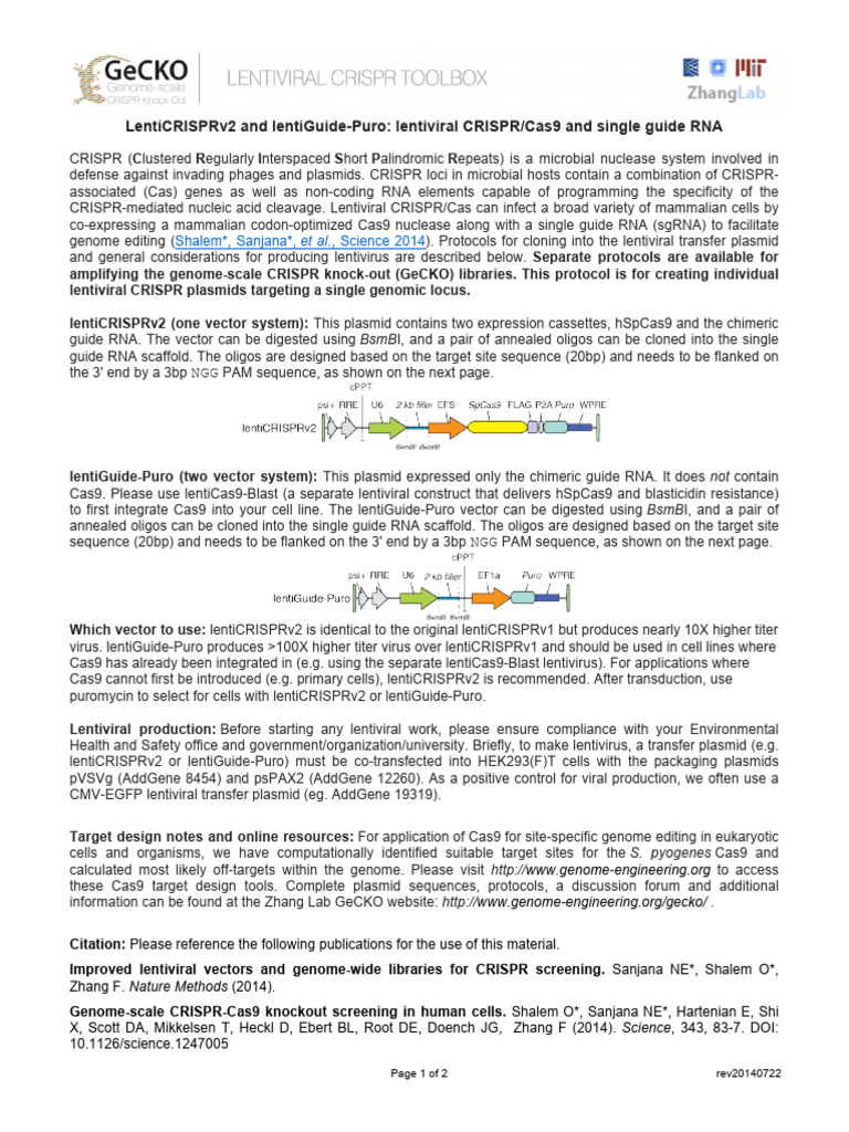 Zhang Lenticrisprv2 and Lentiguide Oligo Cloning Protocol 1 | PDF
