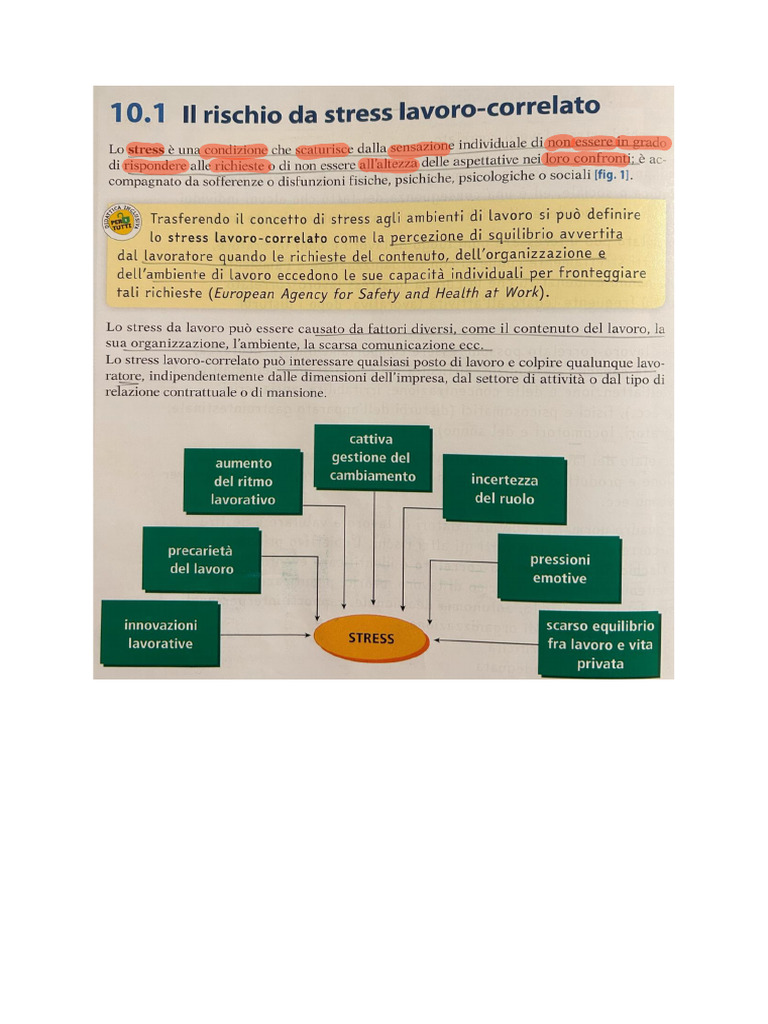 Stress Da Lavoro Correlato | PDF