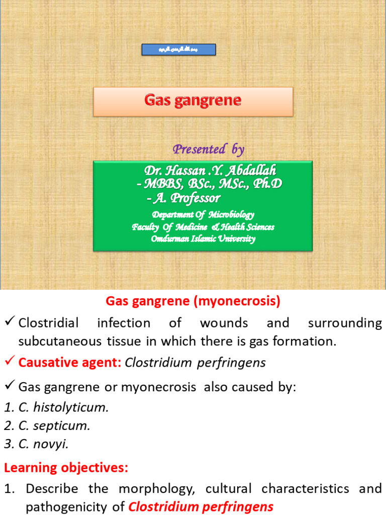 Gas gangrene | PDF