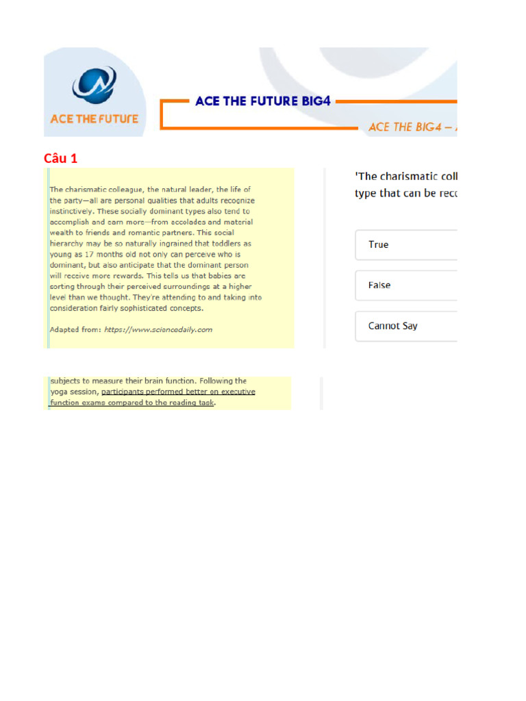 Verbal Test Sample PWC - ACE - TEST | PDF