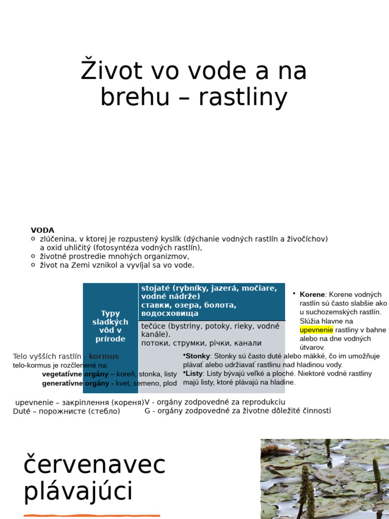 Život Vo Vode A Na Brehu - Rastliny | PDF