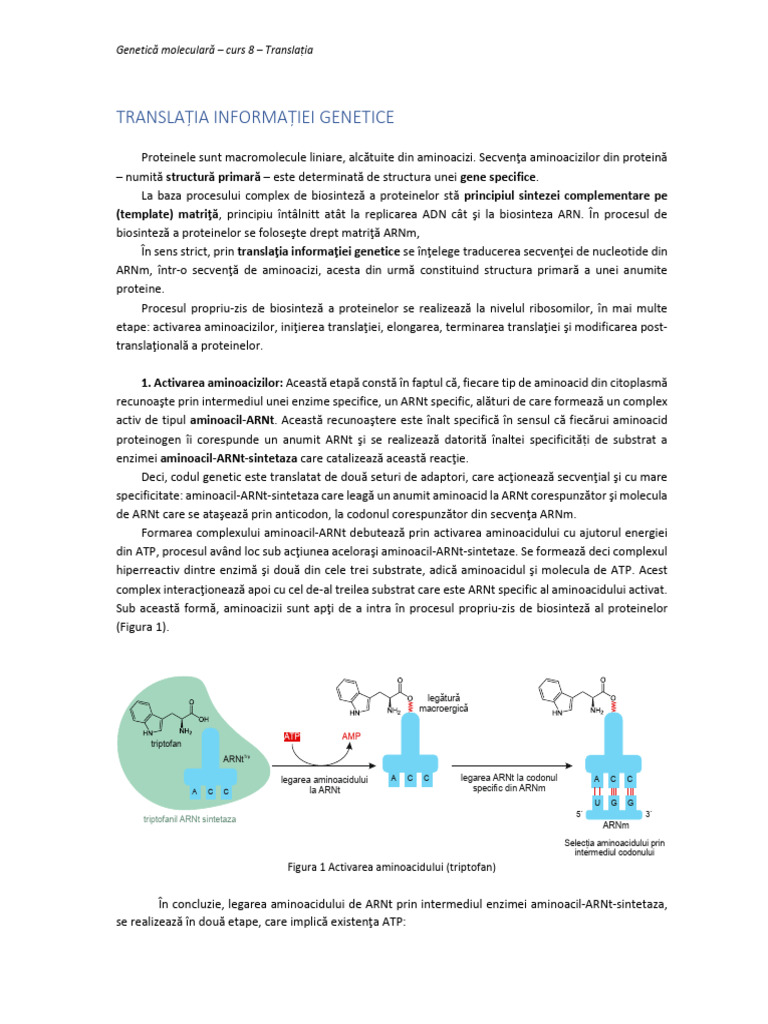 Curs 8 - Translația | PDF