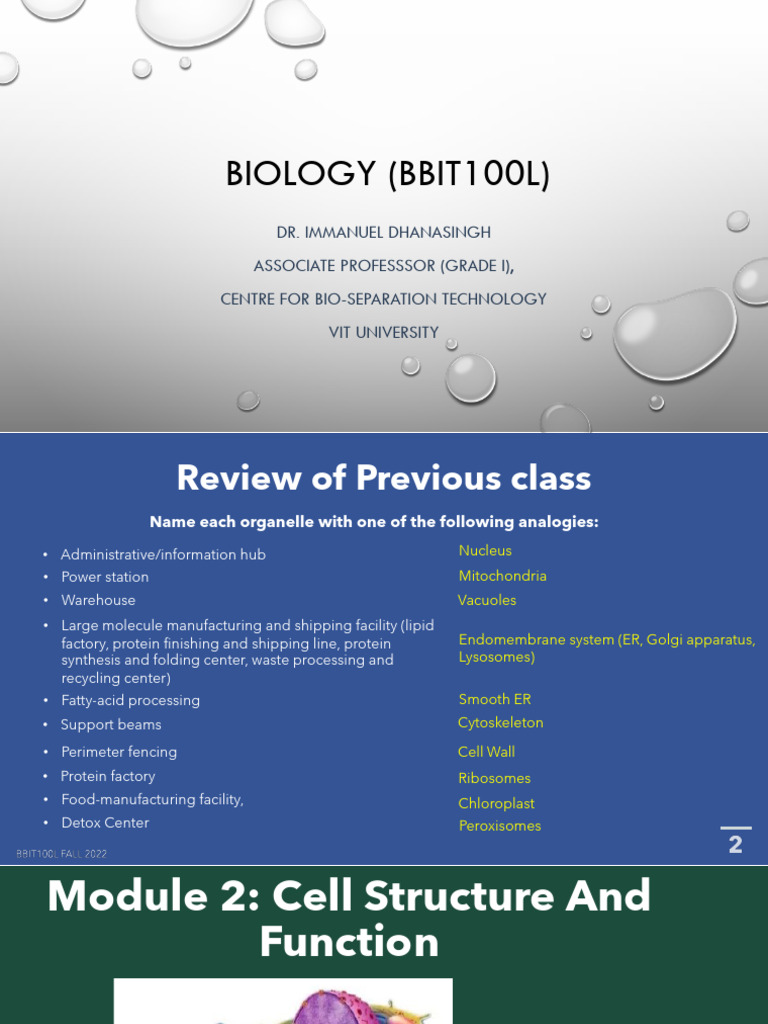 FALLSEM2024-25 BBIT100N TH VL2024250109329 2024-08-17 Reference ...
