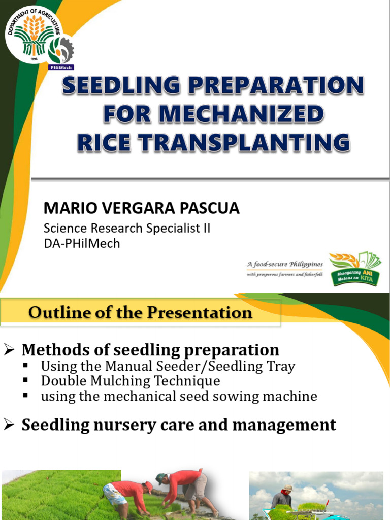 Seedling Preparation Pdf