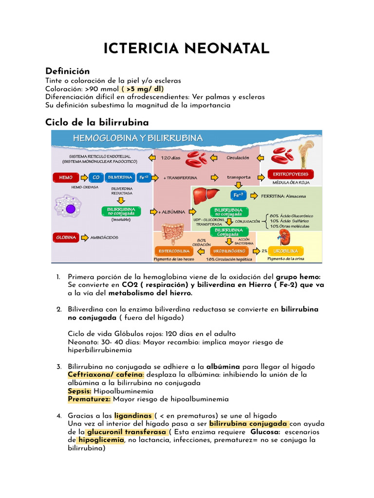 ICTERICIA NEONATAL | PDF
