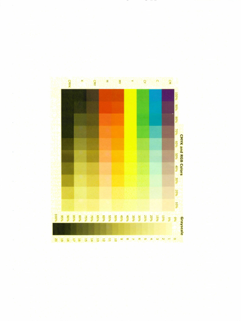 Skan Cartridge Test | PDF