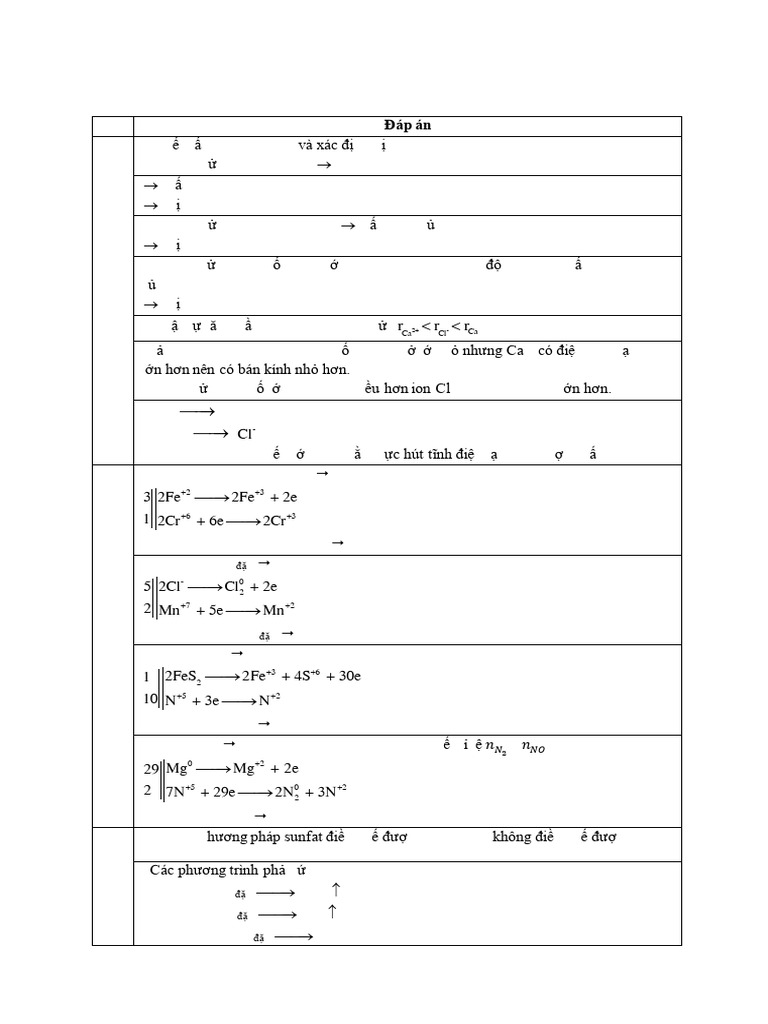 HH10 - THPT-Dap An | PDF