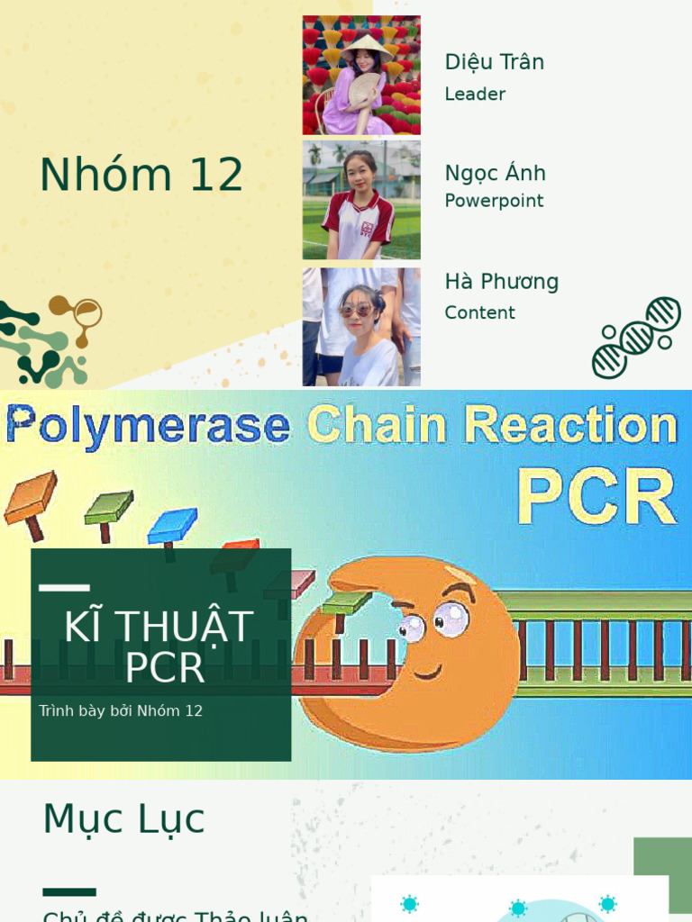 Kĩ Thuật Pcr-Shpt. | PDF
