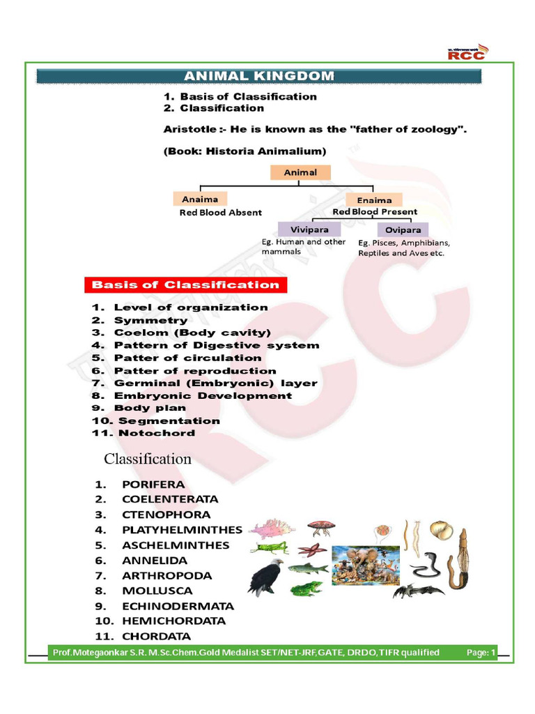 Animal Kingdom Notes by. Dr. Mahipal Sir | PDF