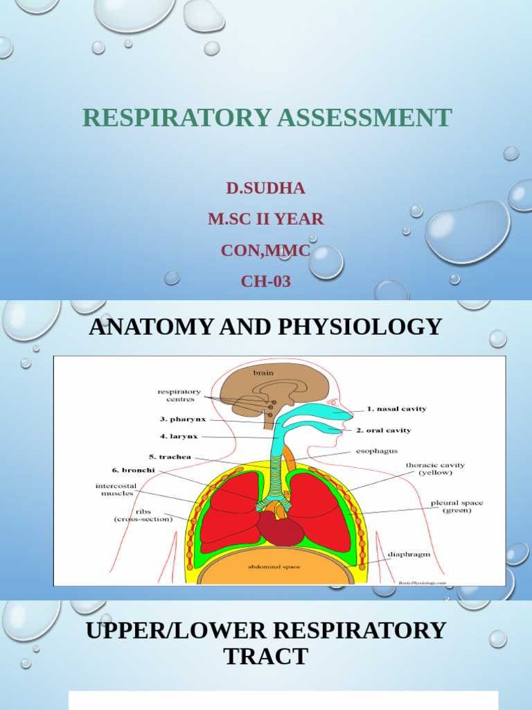 Respiratory Assessment | PDF