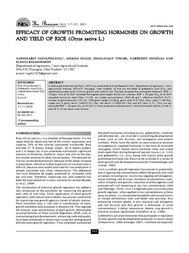 Download | PDF | Plant Hormone | Rice