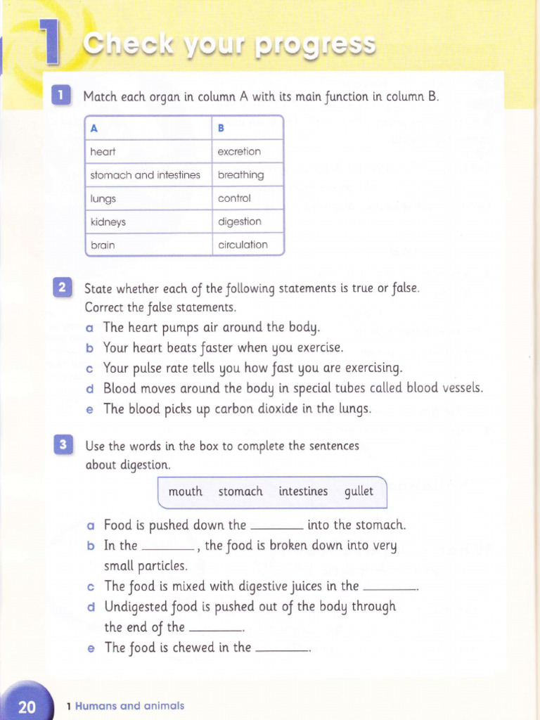 Cambridge Primary Science 6-21 | PDF