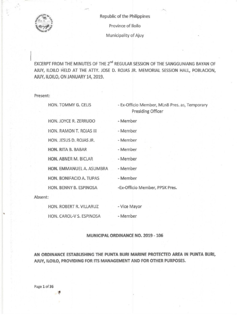 Punta Buri iMPA Municipal Ordinance-Min | PDF