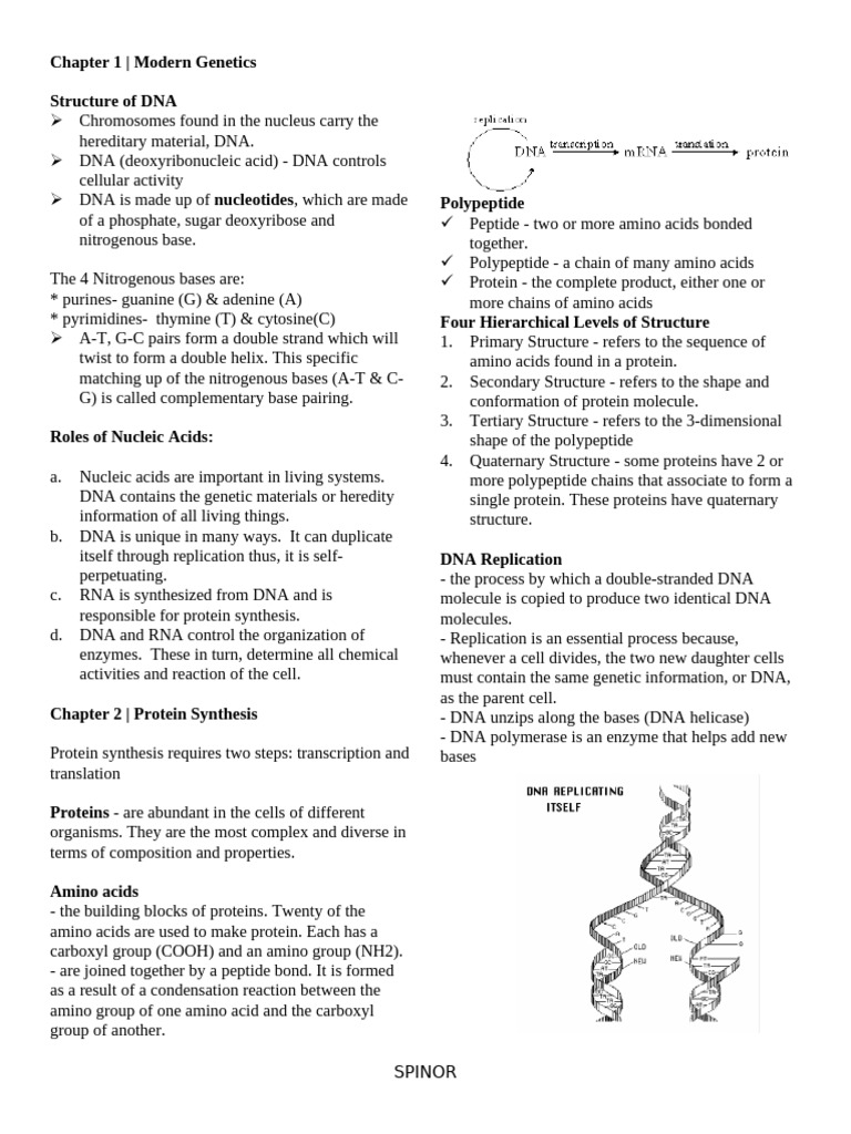01 Protein Synthesis | PDF