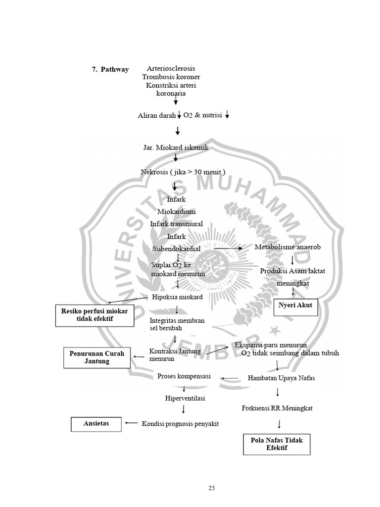 pathway syok kardio | PDF