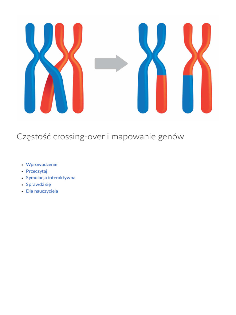 Czestosc Crossingover i Mapowanie Genow | PDF