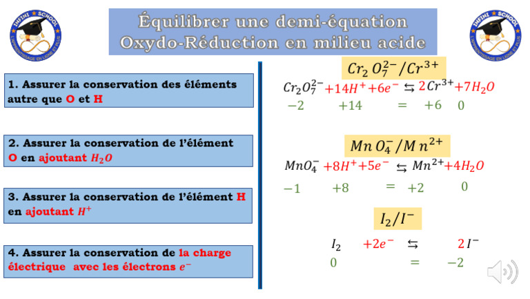 Équilibrer Une Demi-Équation Électronique en Milieu Acide | PDF
