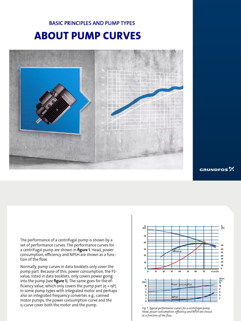 Pump Curves | PDF
