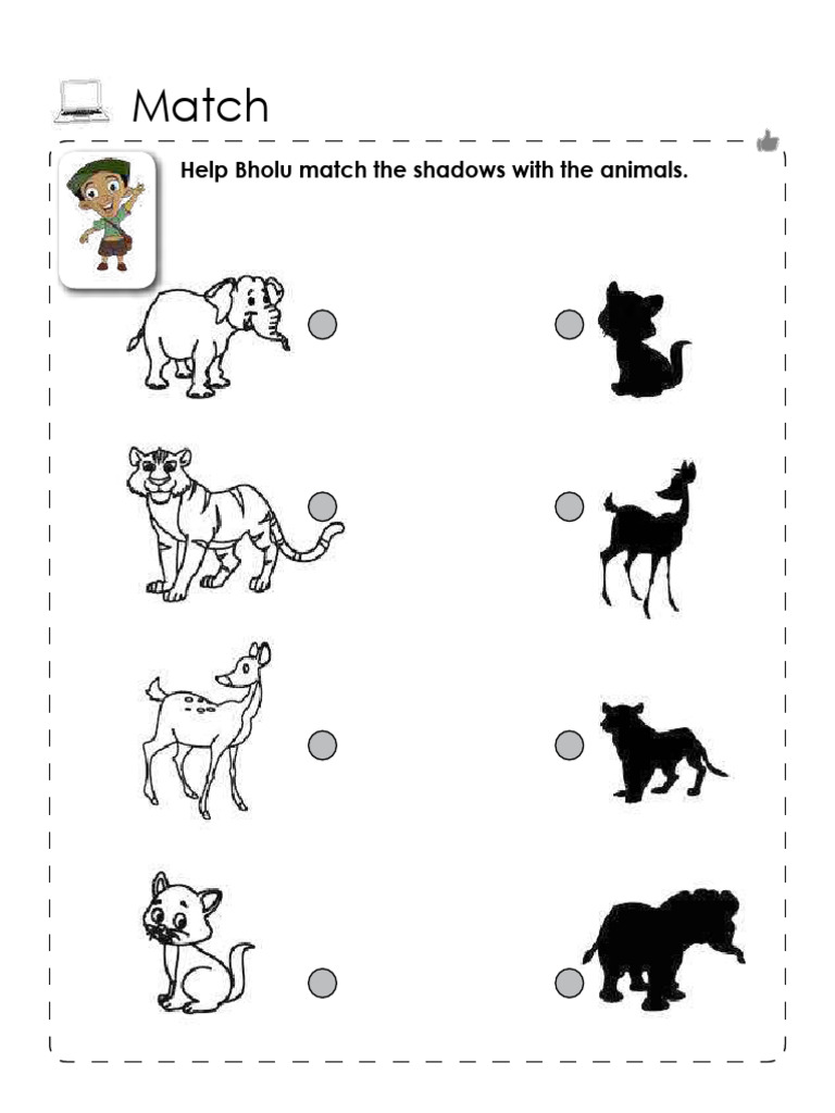 1 3 4 Science Brain Games Matching Identifying and Matching 1 | PDF