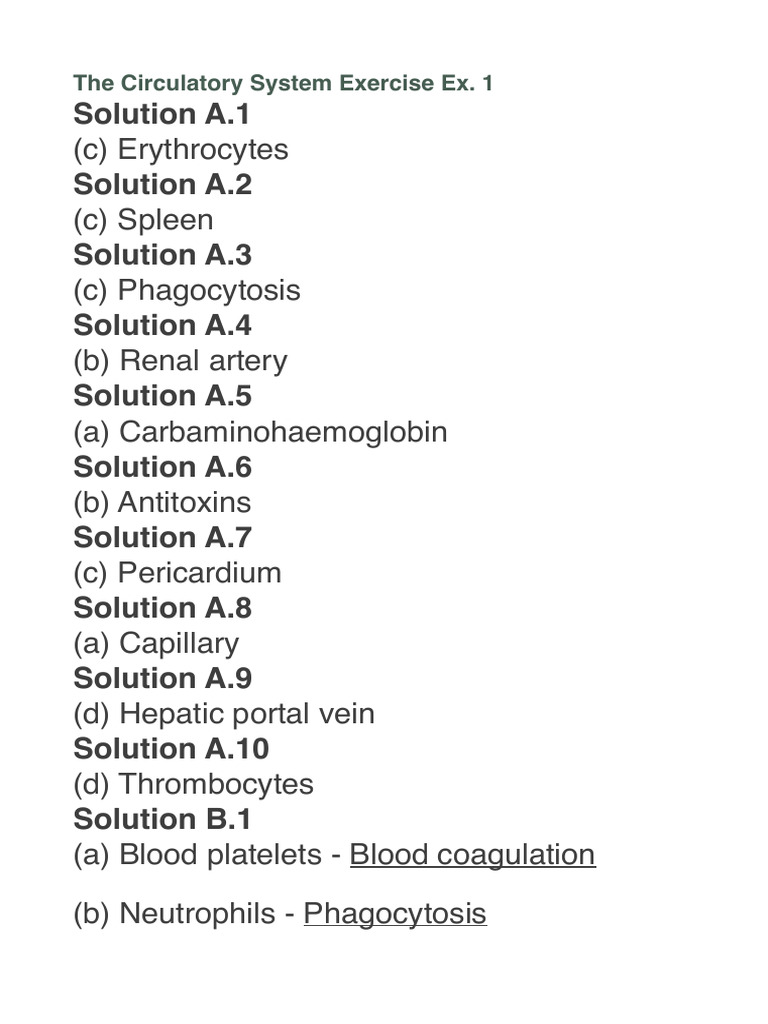 Circulatory System | PDF