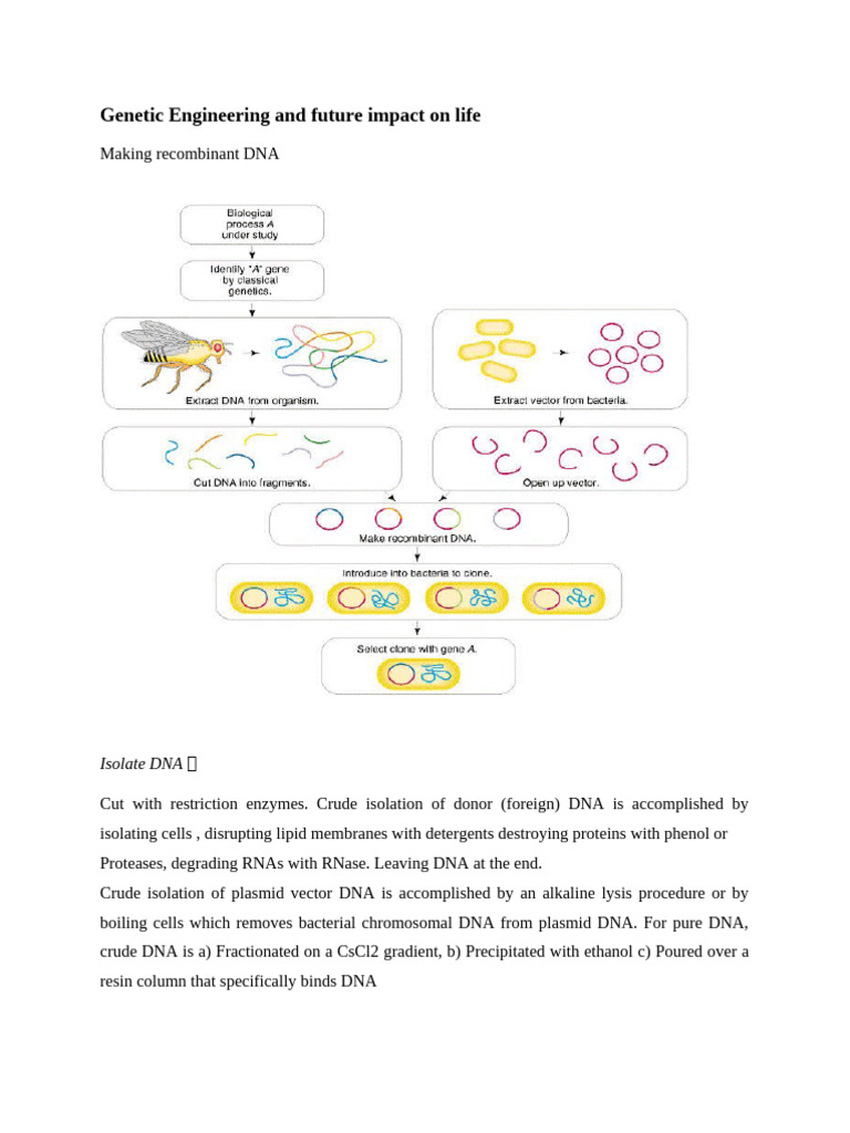 Genetic Engineering: Techniques & Future Impact | PDF | Dna | Science ...