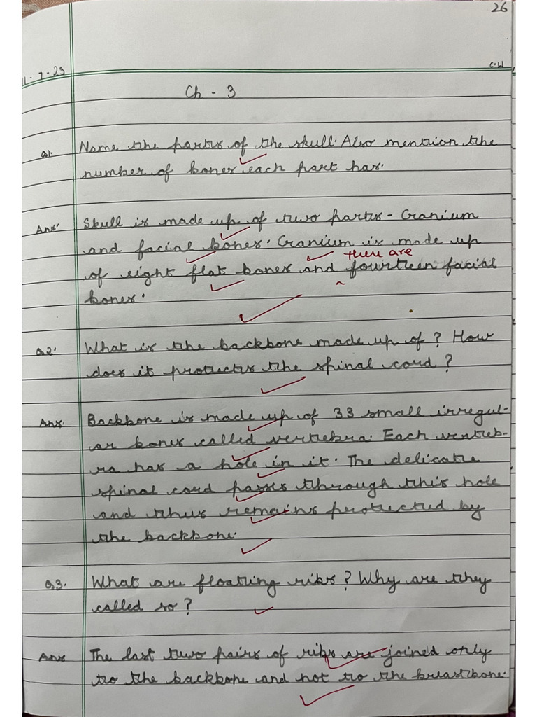 Science Classwork | PDF