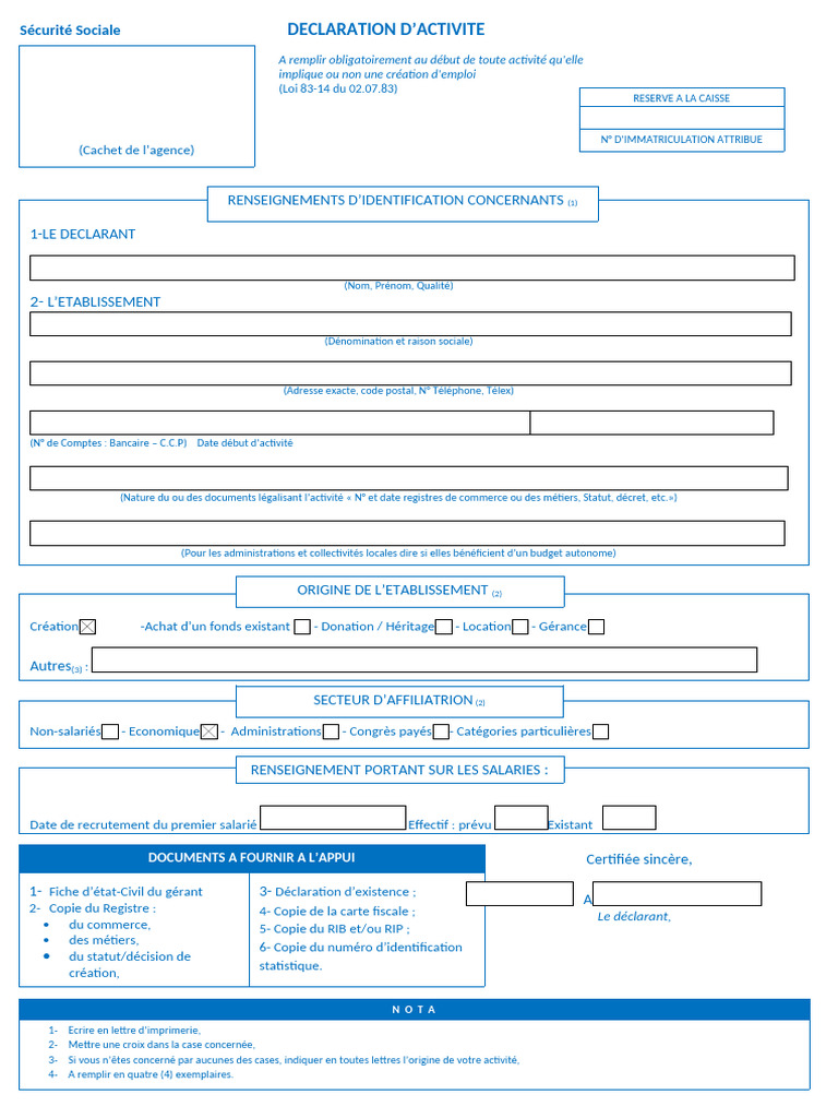 Declaration D'activite | PDF