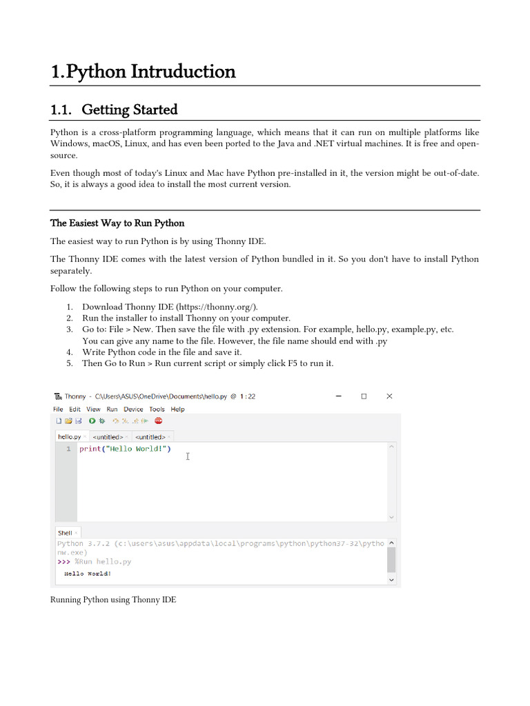 Python Introduction | PDF