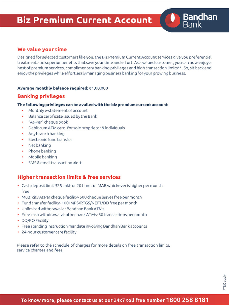 Biz Premium Current Account | PDF