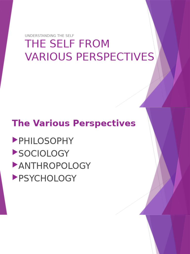 Philosophical Perspectives | PDF