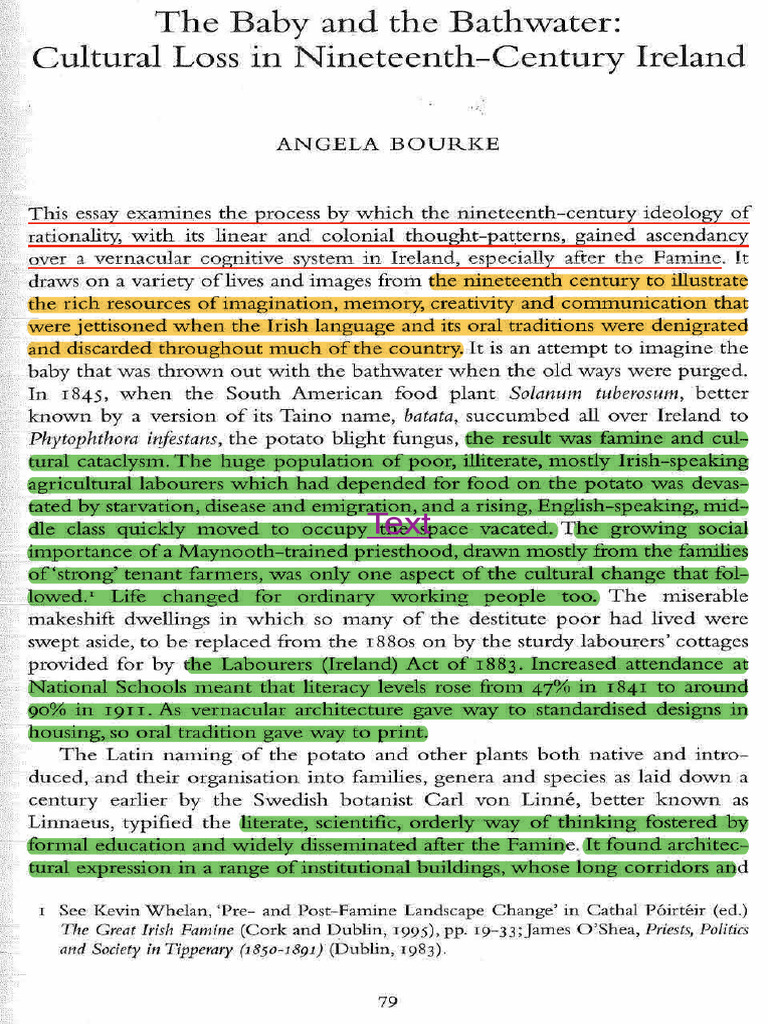 The Baby and The Bathwater Cultural Loss in Nineteenth Century Ireland ...
