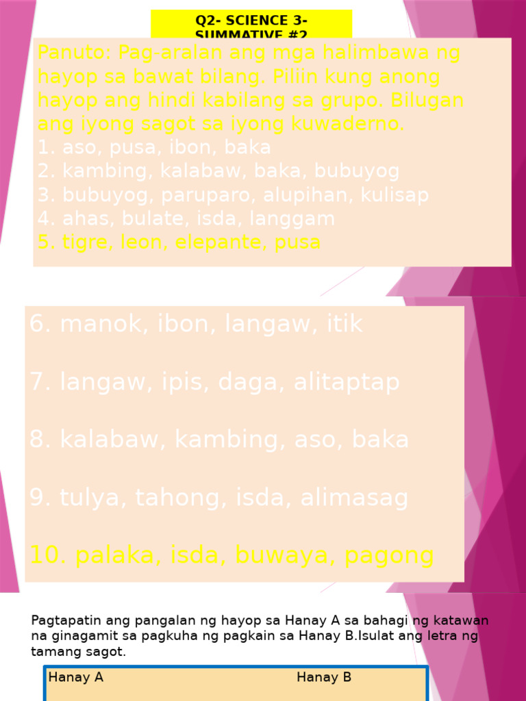 q2 - Science 3 - Summative #2 | PDF