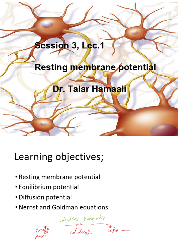 Session 3, Lec.1 (Membrane Potential) | PDF
