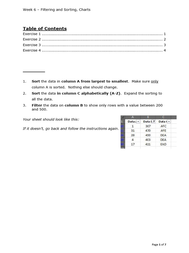Task Instructions - sorting, charts and balance sheet (1) | PDF