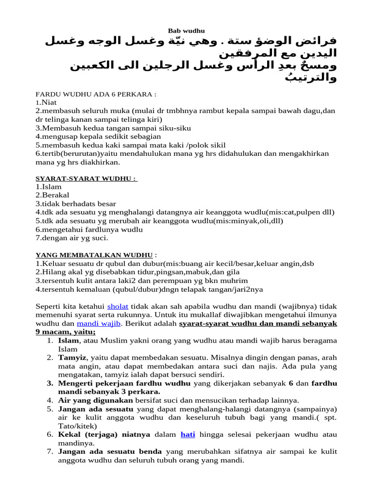 Bab Wudhu SF | PDF