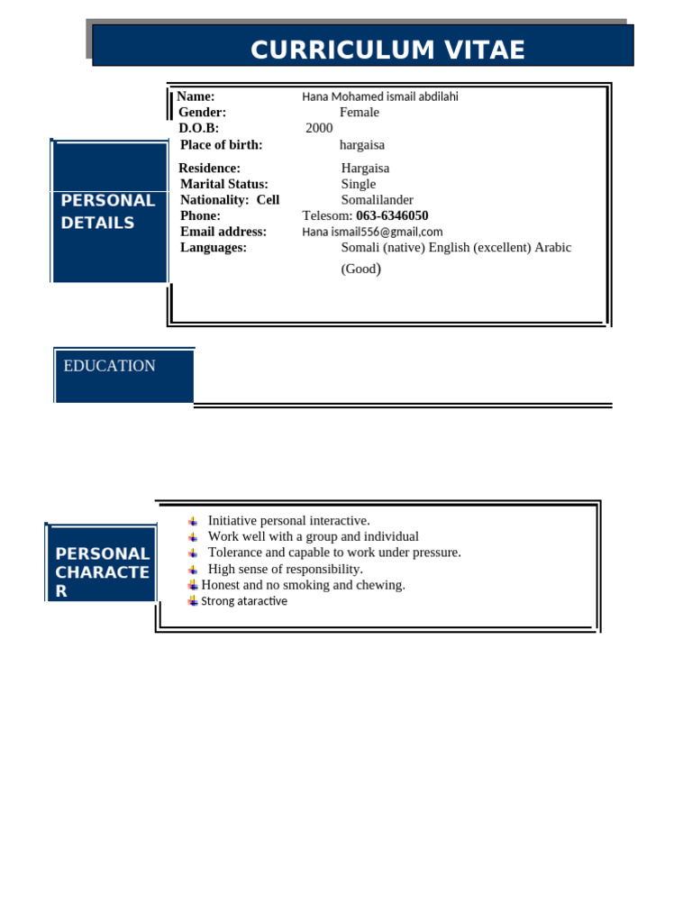 Hana Mohamed CV | PDF
