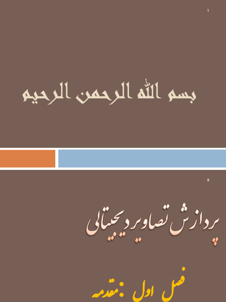 Total Image Processing | PDF