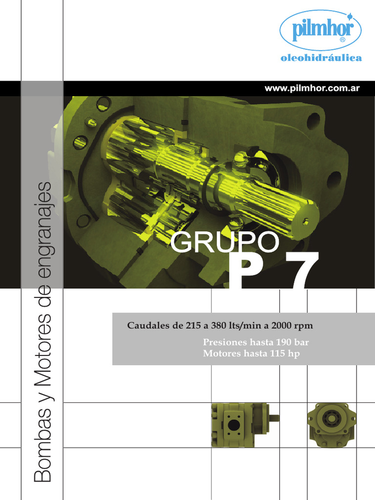 CT-70-001 Catalogo Tecnico Bombas P7 | PDF