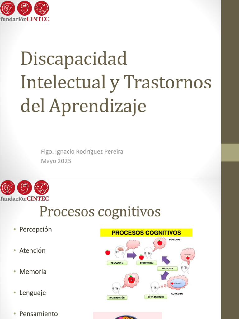 Discapacidad Intelectual y Trastornos Del Aprendizaje | PDF