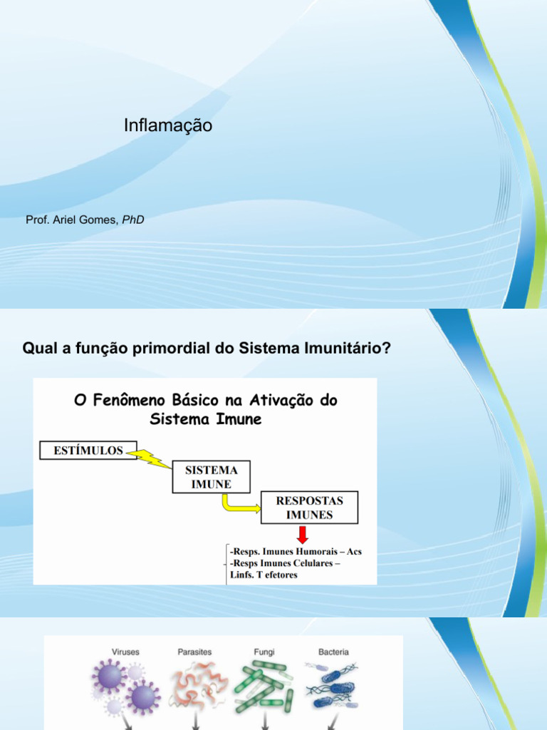 Aula 4 - Inflamac A o 24.2 | PDF | Inflamação | Autoajuda