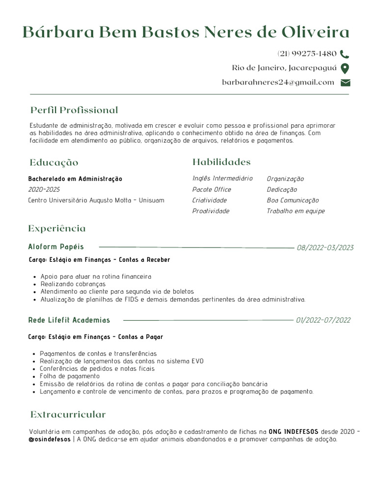 CV. Bárbara Neres - ADM | PDF