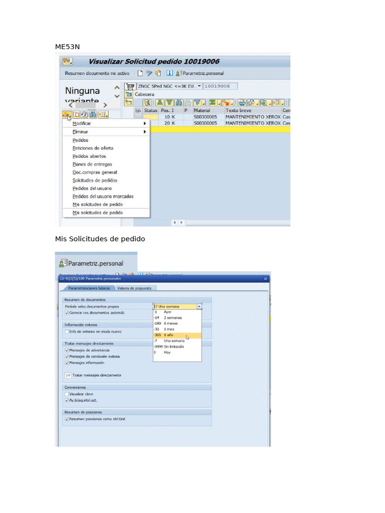 Solped - Doc Presupuestario | PDF