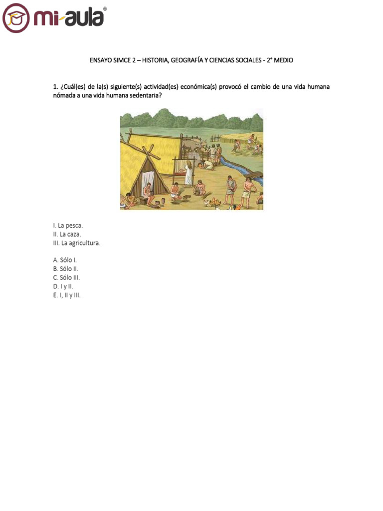 Ensayo Simce 2 | PDF